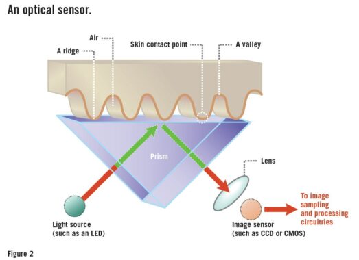 How fingerprint scanners work — Optical, capacitive, and other variants