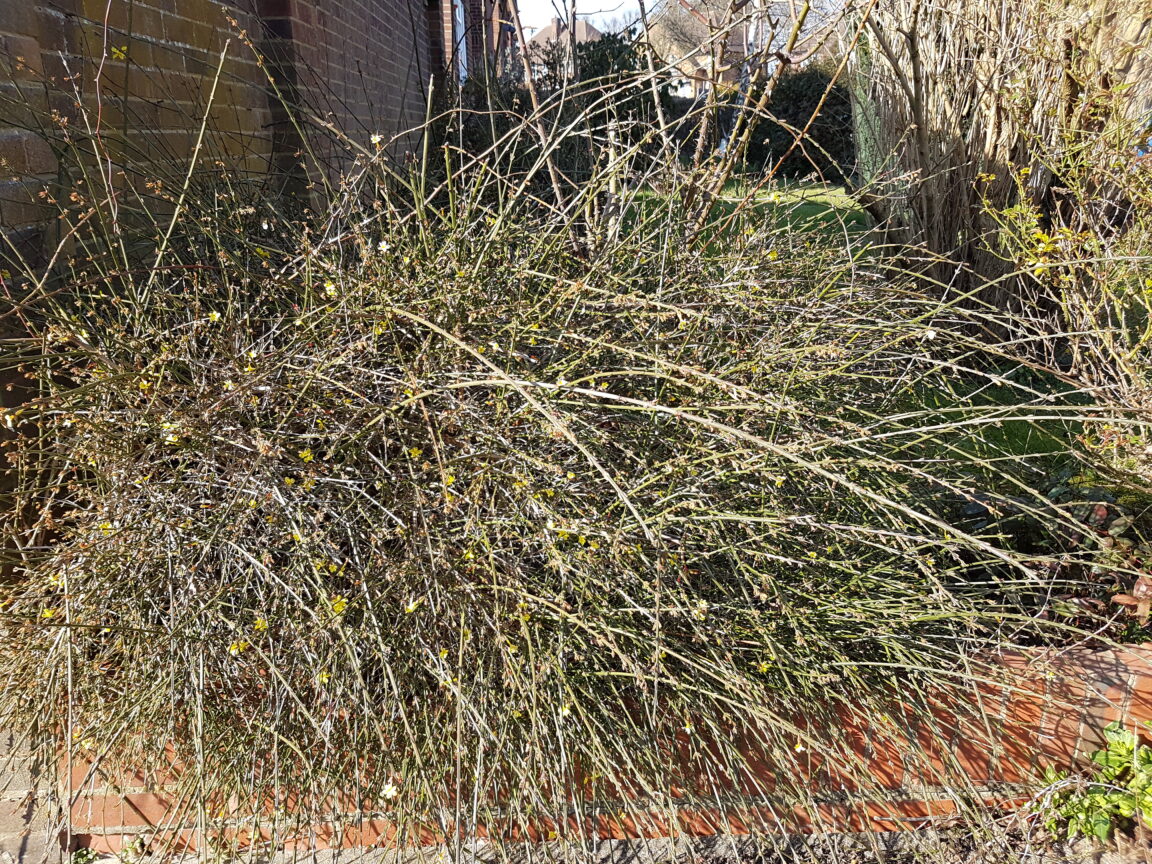 Galaxy S7 Isocell vs Sony camera sensor: what's the difference ...