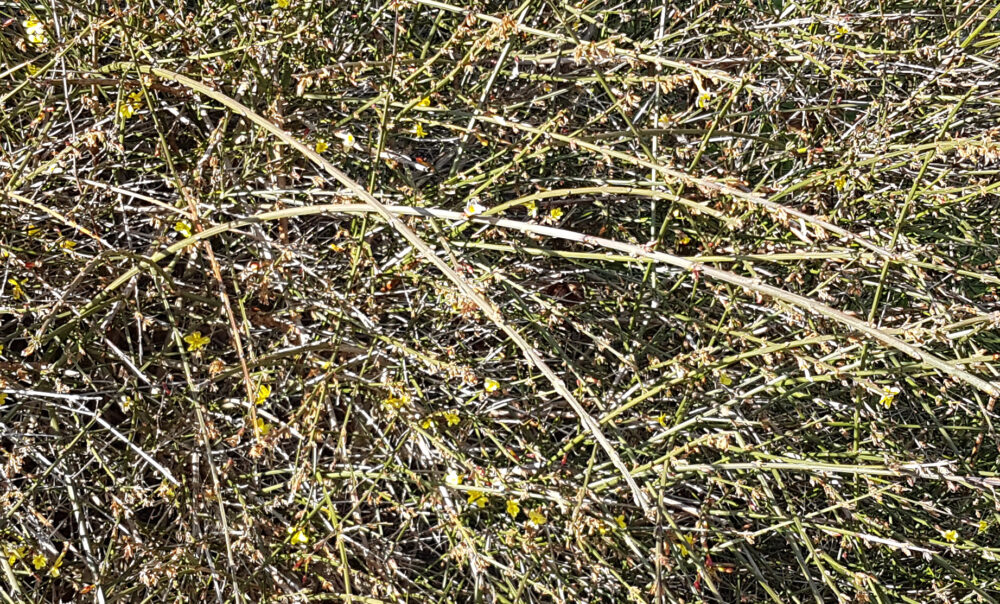 Galaxy S7 Isocell vs Sony camera sensor: what's the difference ...