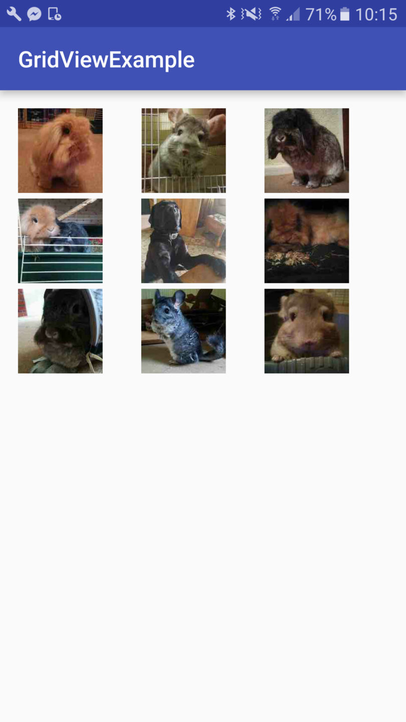 Displaying large amounts of data with GridView and CardView - Android Authority