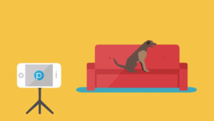 Samsung acquires home monitoring software company Perch - Android Authority