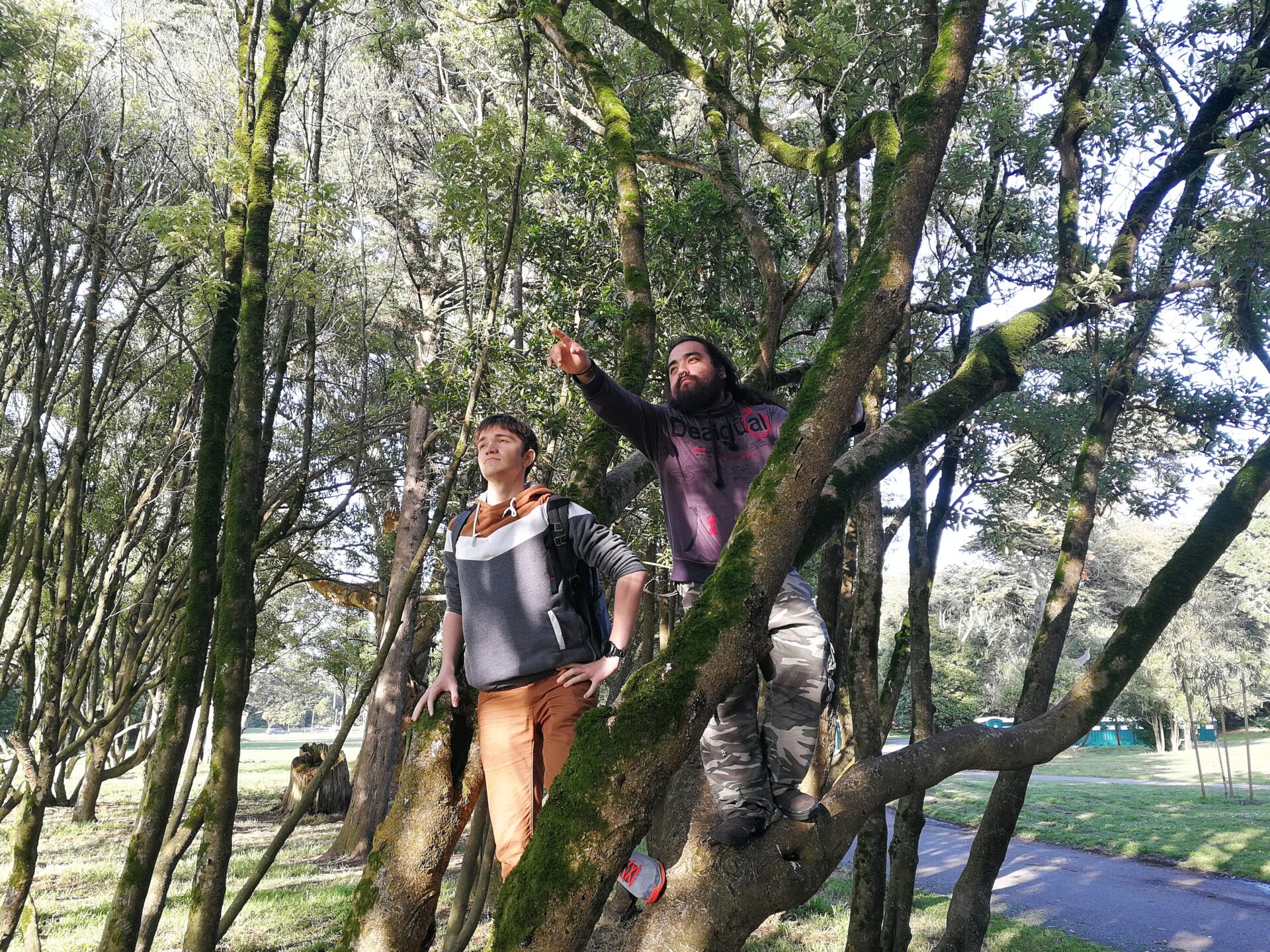 Results are in: The best Android smartphone camera is... - Android ...