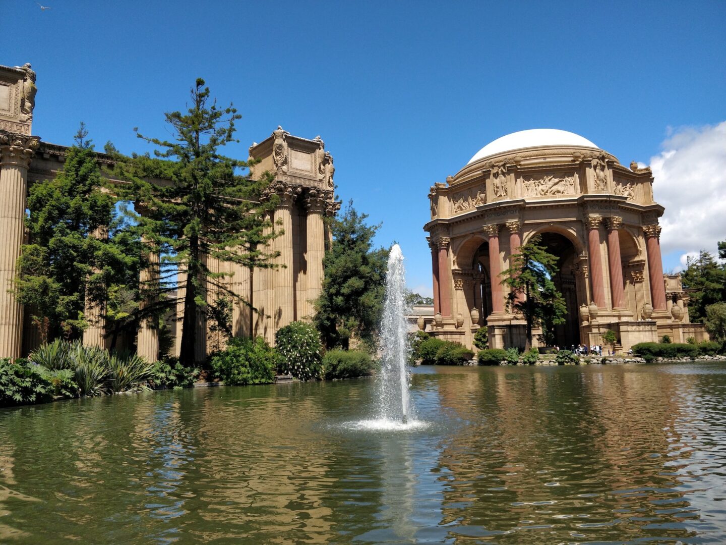 Results are in: how good is the OnePlus 5 camera? - Android Authority