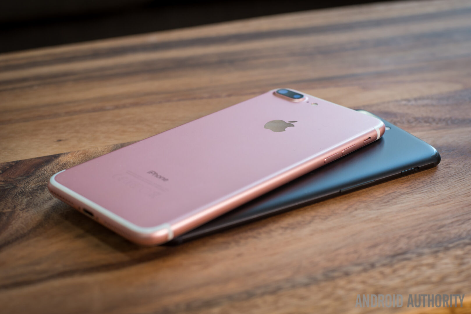 OnePlus 5 vs Apple iPhone 7 Plus: quick look - Android Authority