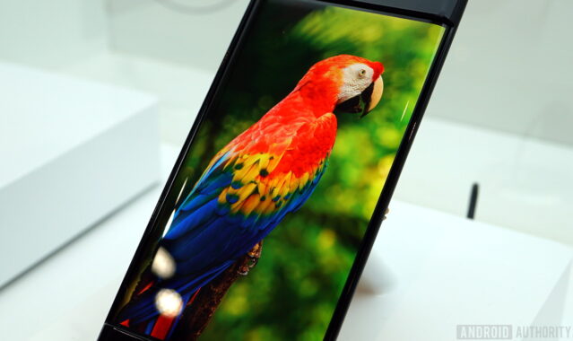 POLED vs IPS - the differences in display tech explained