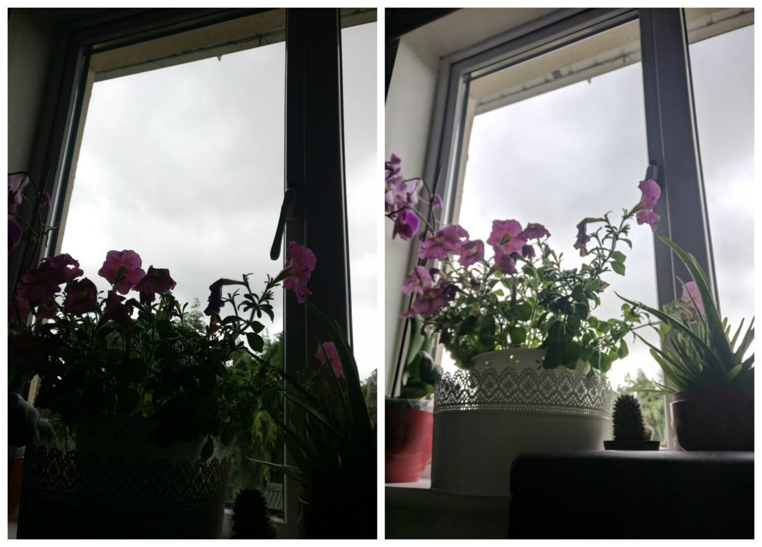 Get Google Camera with HDR+ on more Android devices with this port