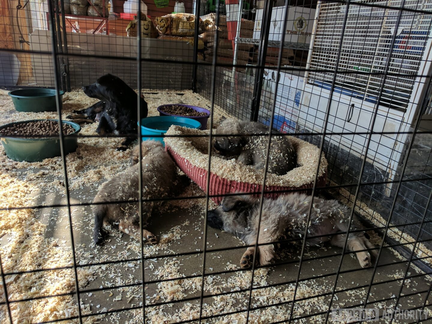 Google Pixel 2 XL vs Pixel XL: What's the difference?