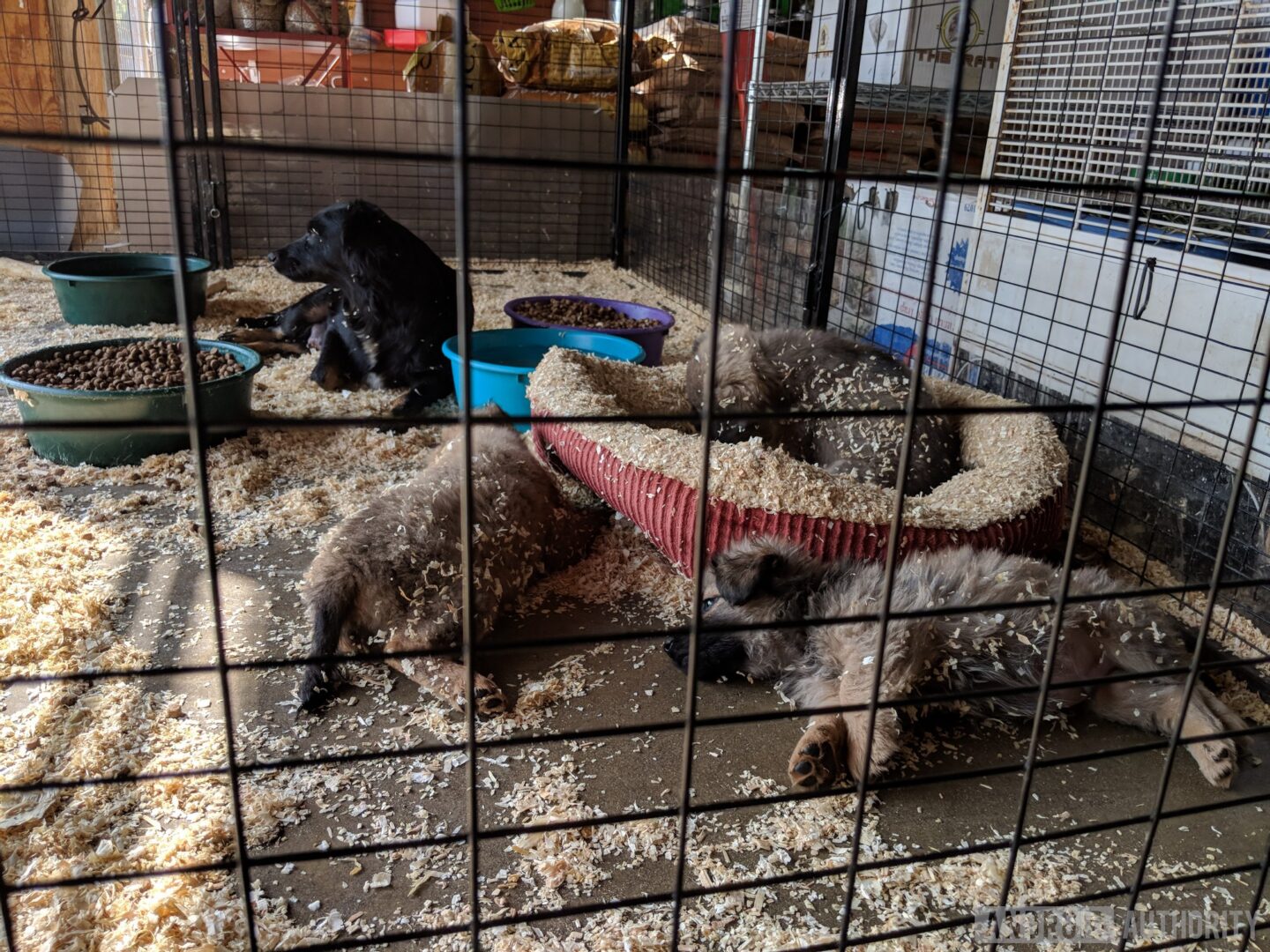 Google Pixel 2 XL vs Pixel XL: What's the difference?