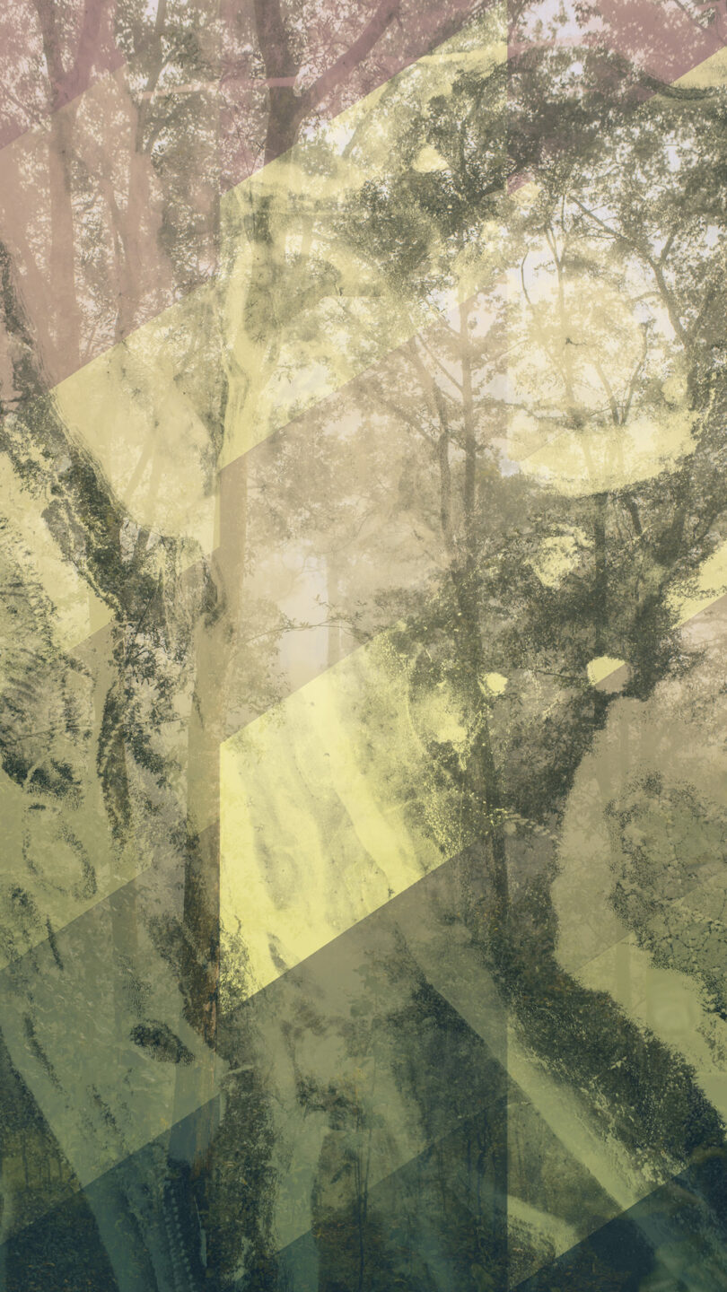 10 of the most popular Google Pixel 2 XL wallpapers