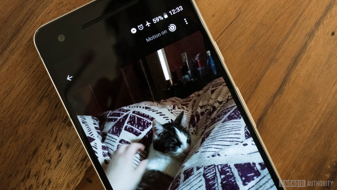 Motion Photos on the Pixel 2 are the perfect way to idly capture candid ...