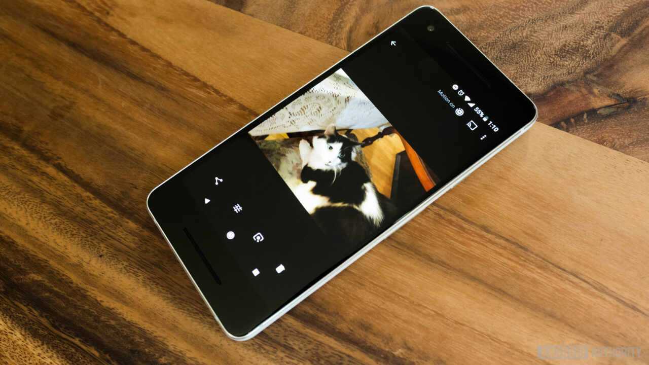 Motion Photos on the Pixel 2 are the perfect way to idly capture candid ...