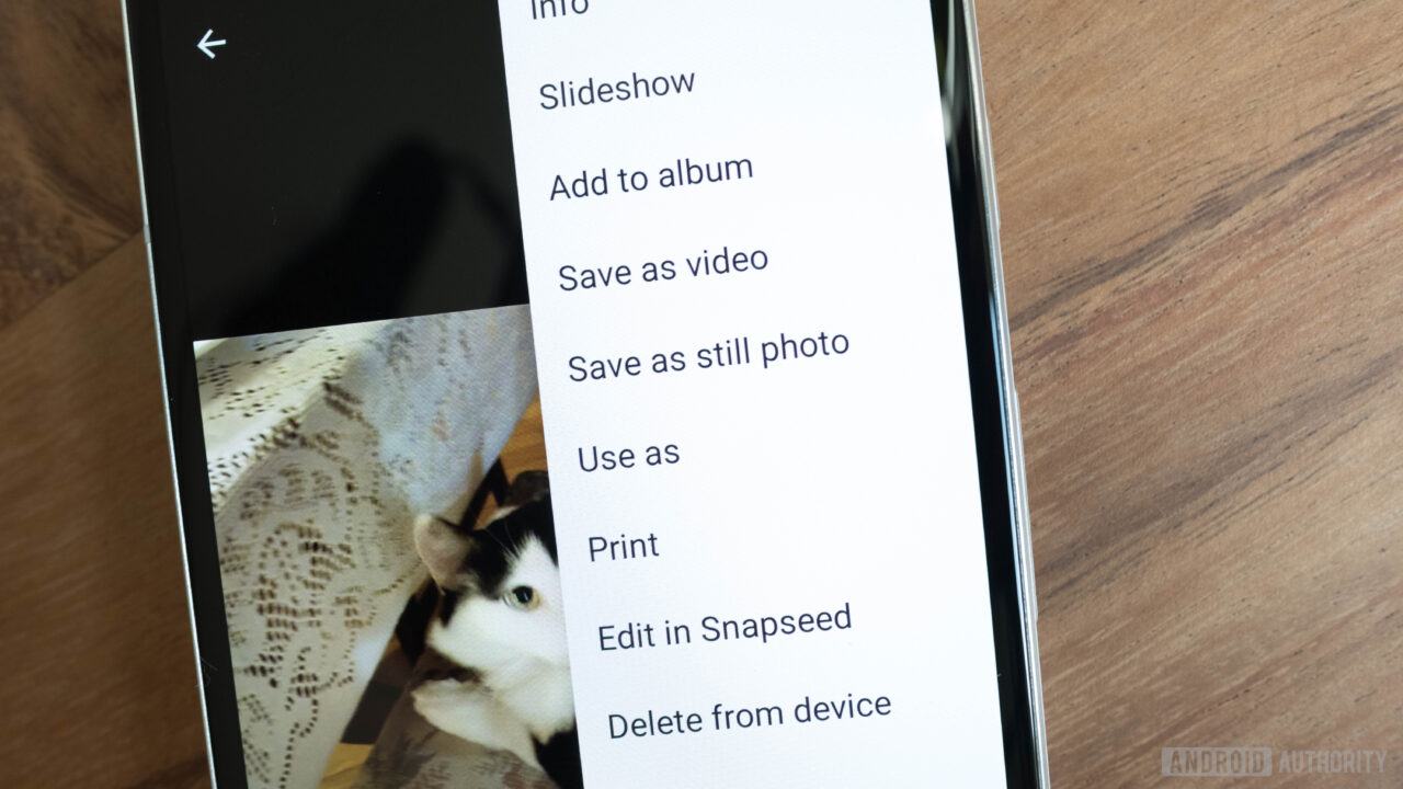 Motion Photos on the Pixel 2 are the perfect way to idly capture candid ...