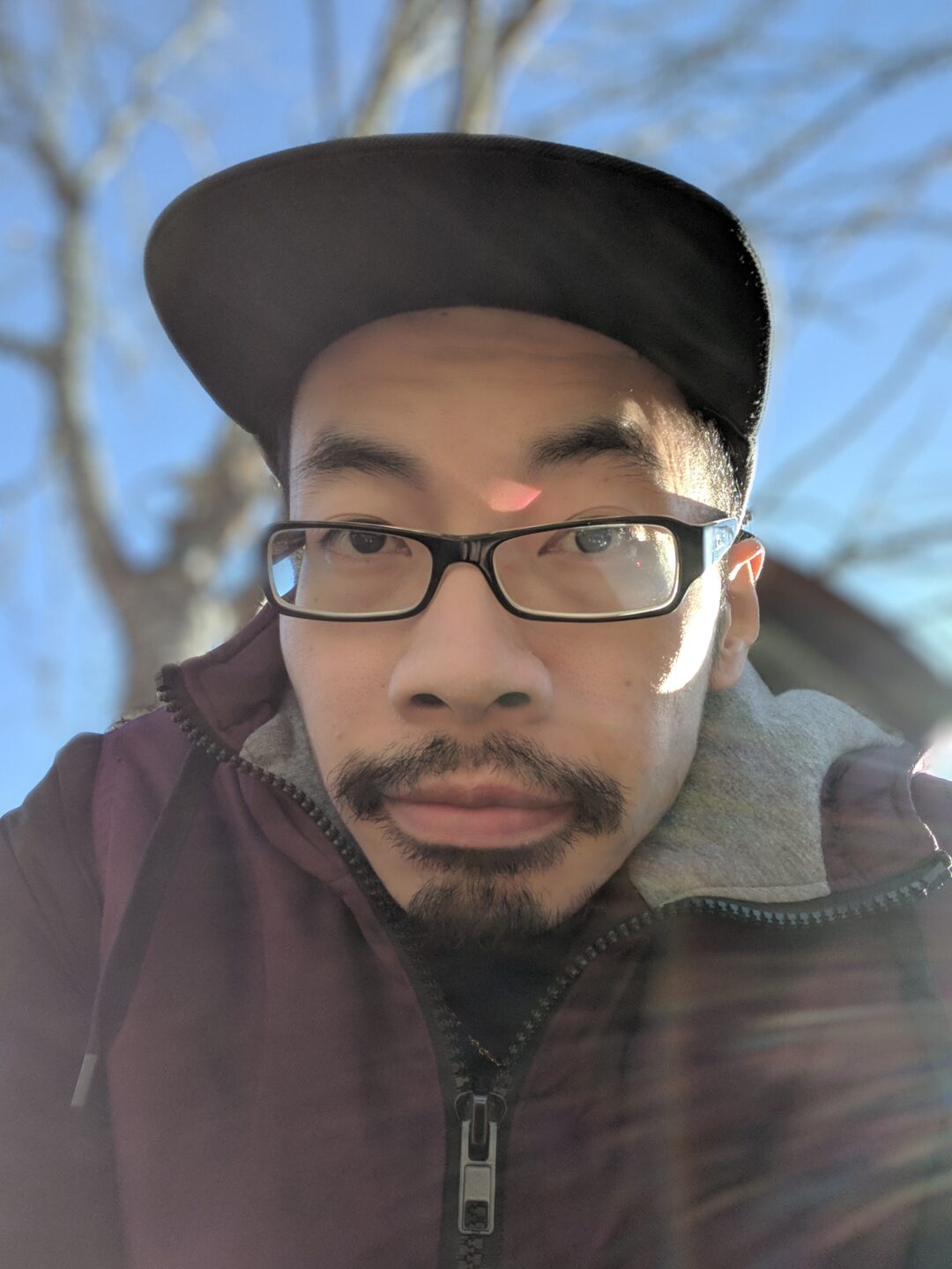 Pixel 2 portrait mode: how does it compare to other phones? - Android ...