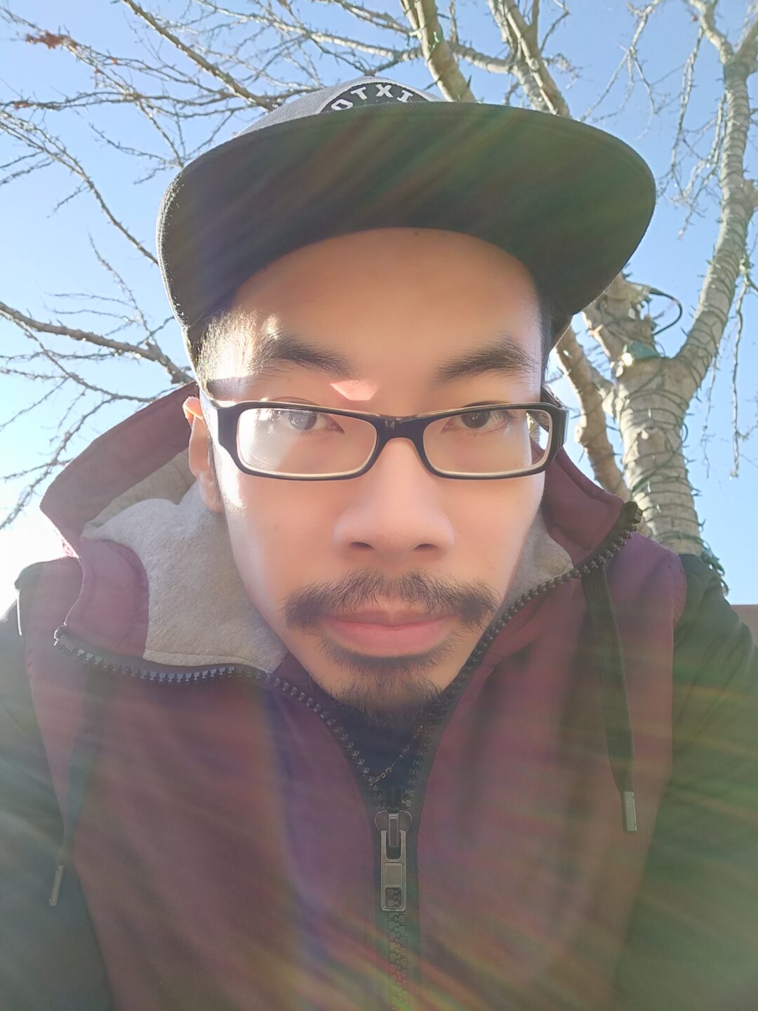 Pixel 2 portrait mode: how does it compare to other phones? - Android ...