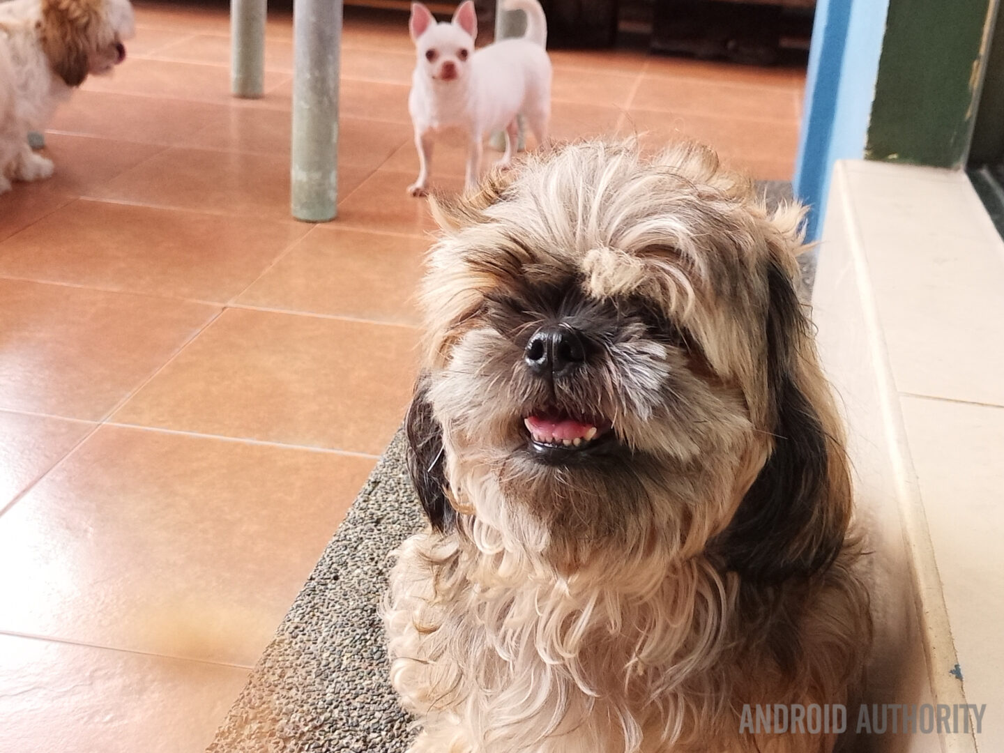 Meitu V6: The selfie phone you've never heard about - Android Authority