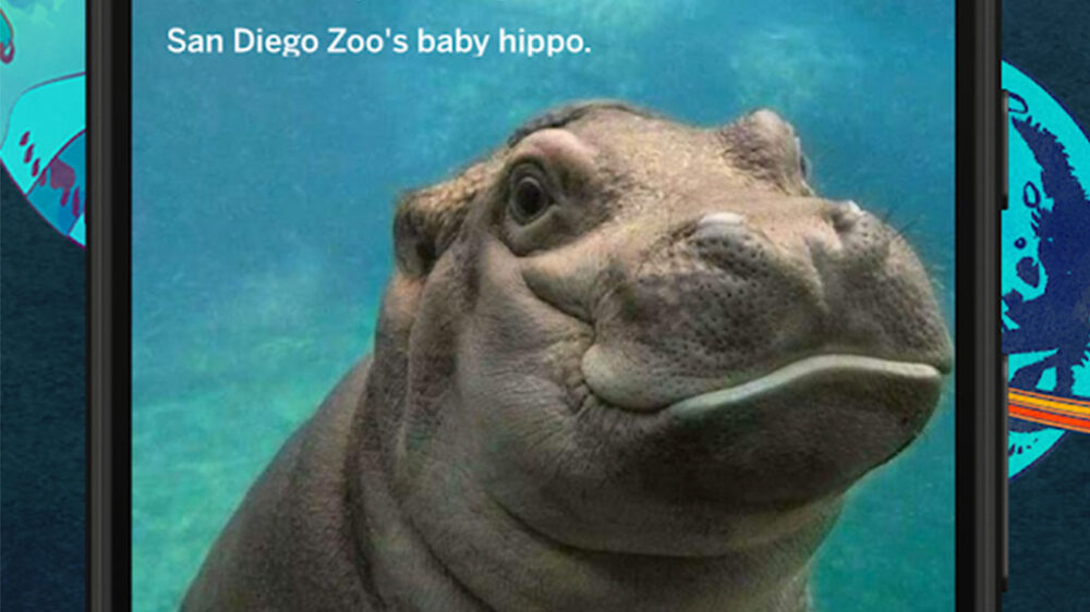 The best animal apps for Android - Android Authority