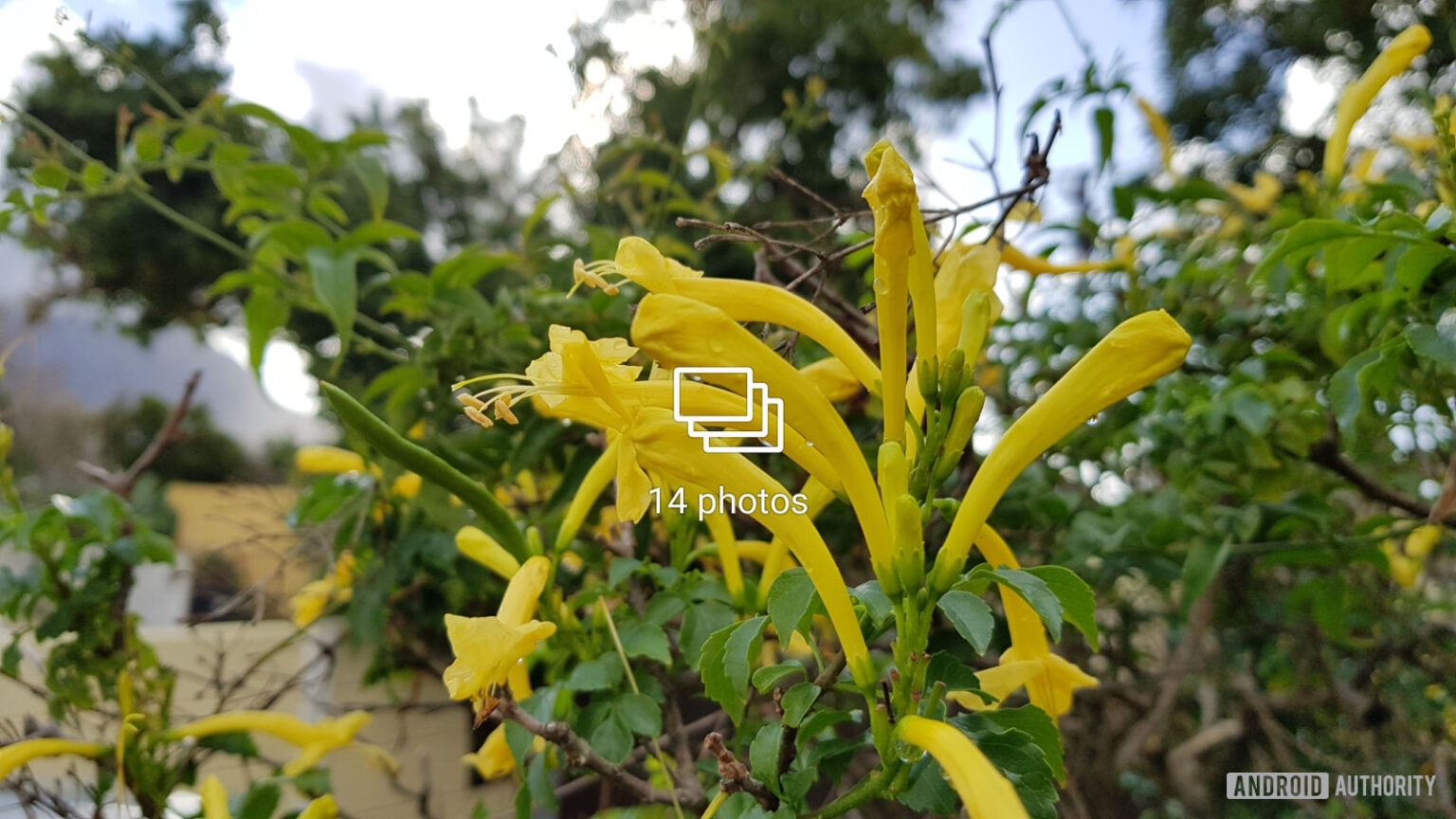 Smartphone photography tips: 16 pointers you should know