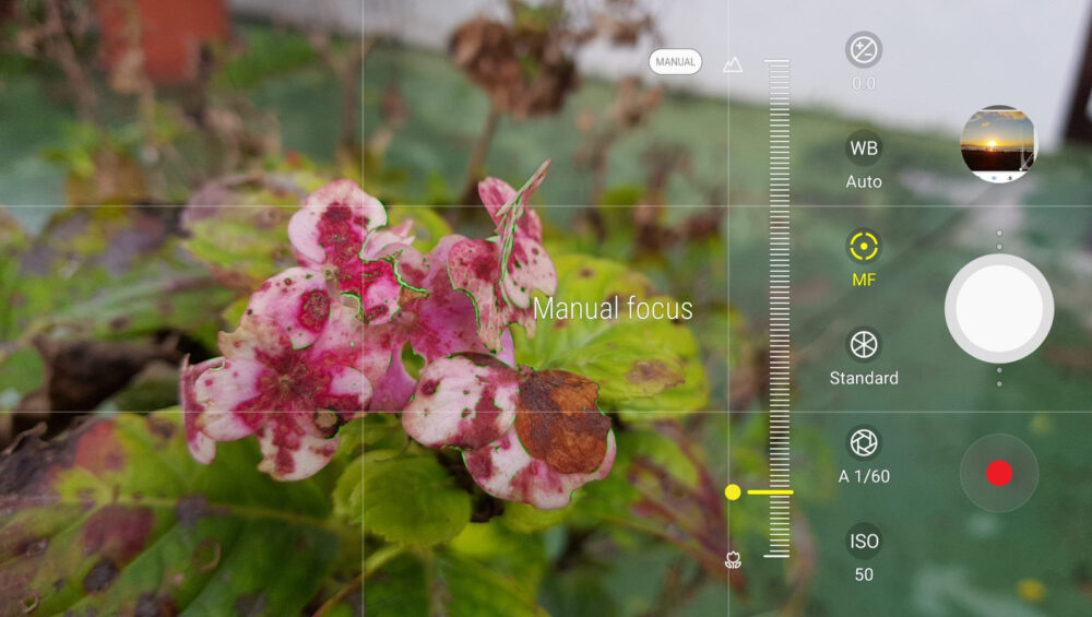 Smartphone photography tips: 16 pointers you should know