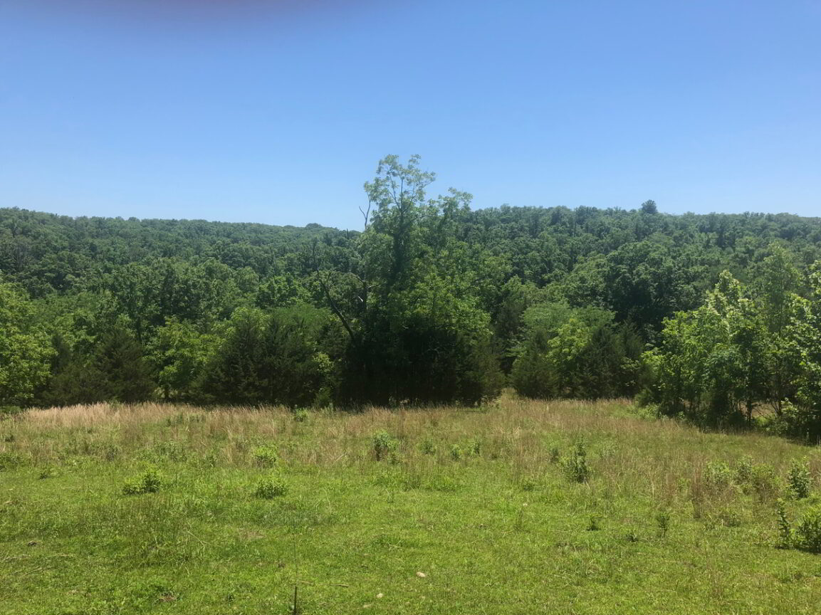 OnePlus 6 vs Apple iPhone X: can David take on Goliath?