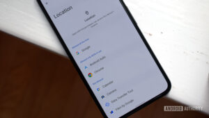 App permissions on your Android phone explained - Android Authority
