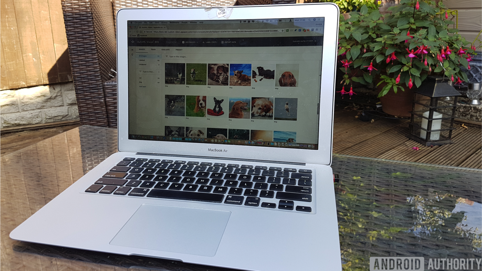Google Cloud AutoML Vision: Train your own machine learning model