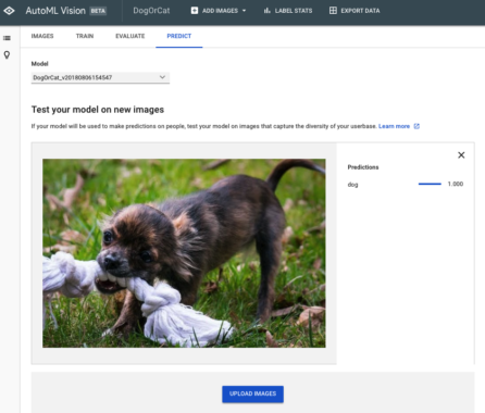 Google Cloud AutoML Vision: Train your own machine learning model