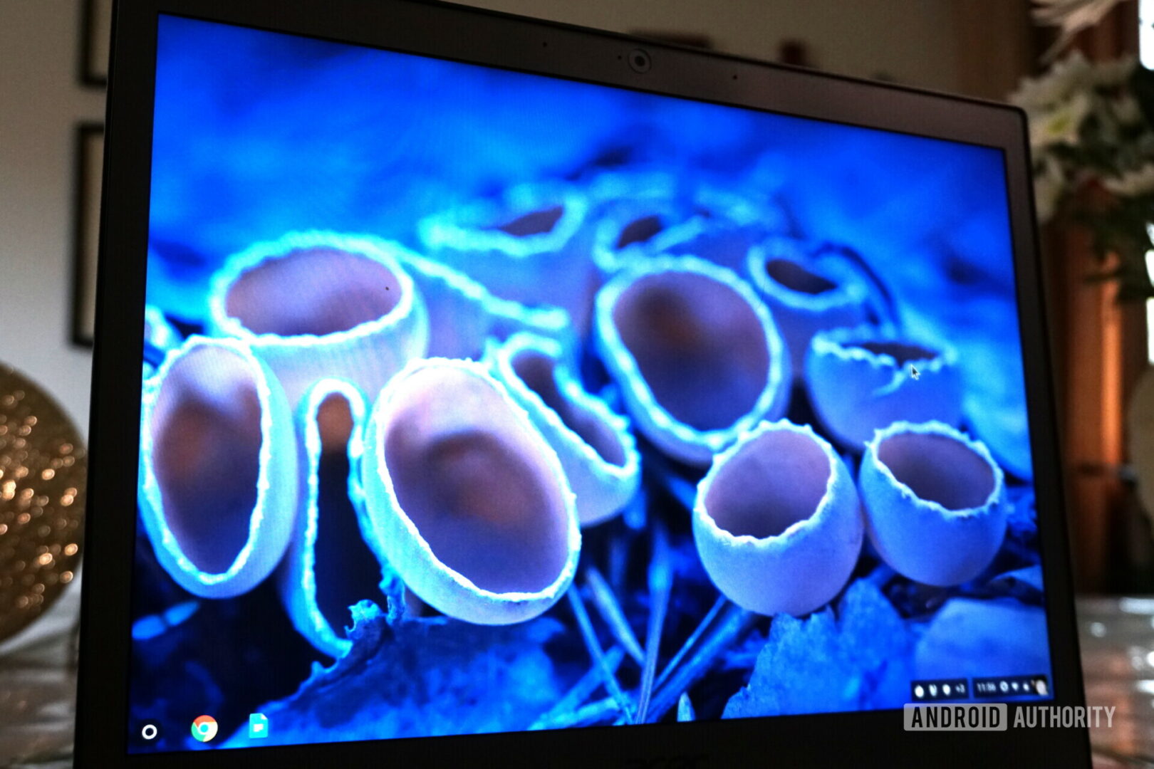 Acer Chromebook 13 review: Premium performance at a premium price