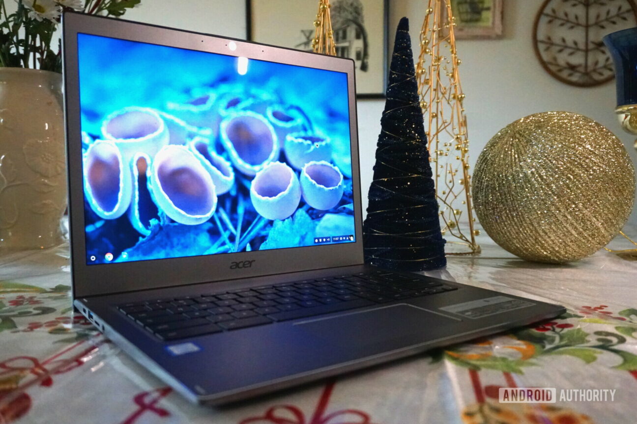 Acer Chromebook 13 review: Premium performance at a premium price