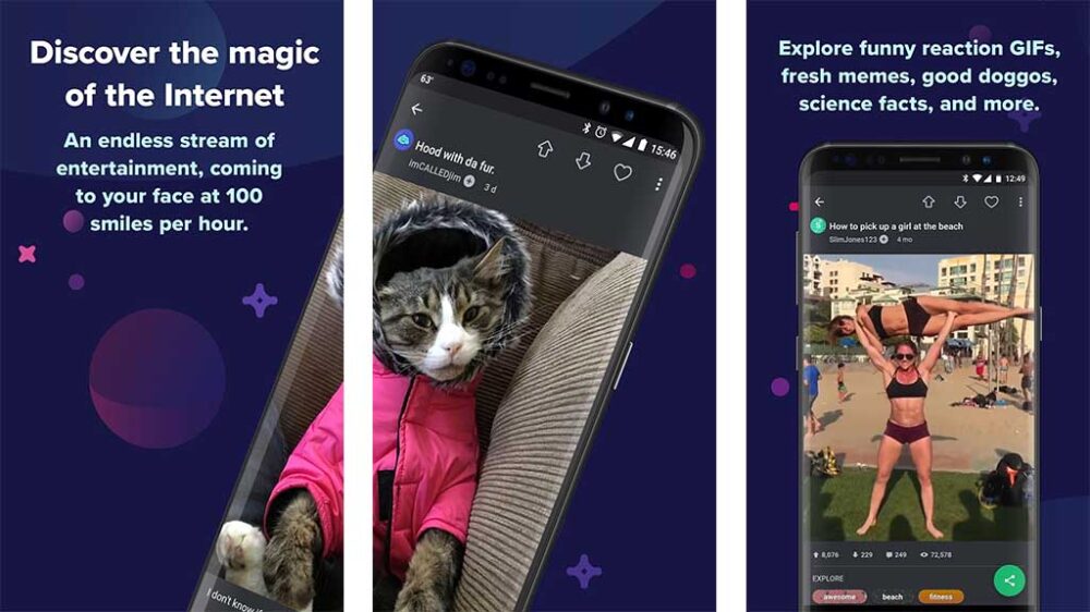 The best animal apps for Android - Android Authority
