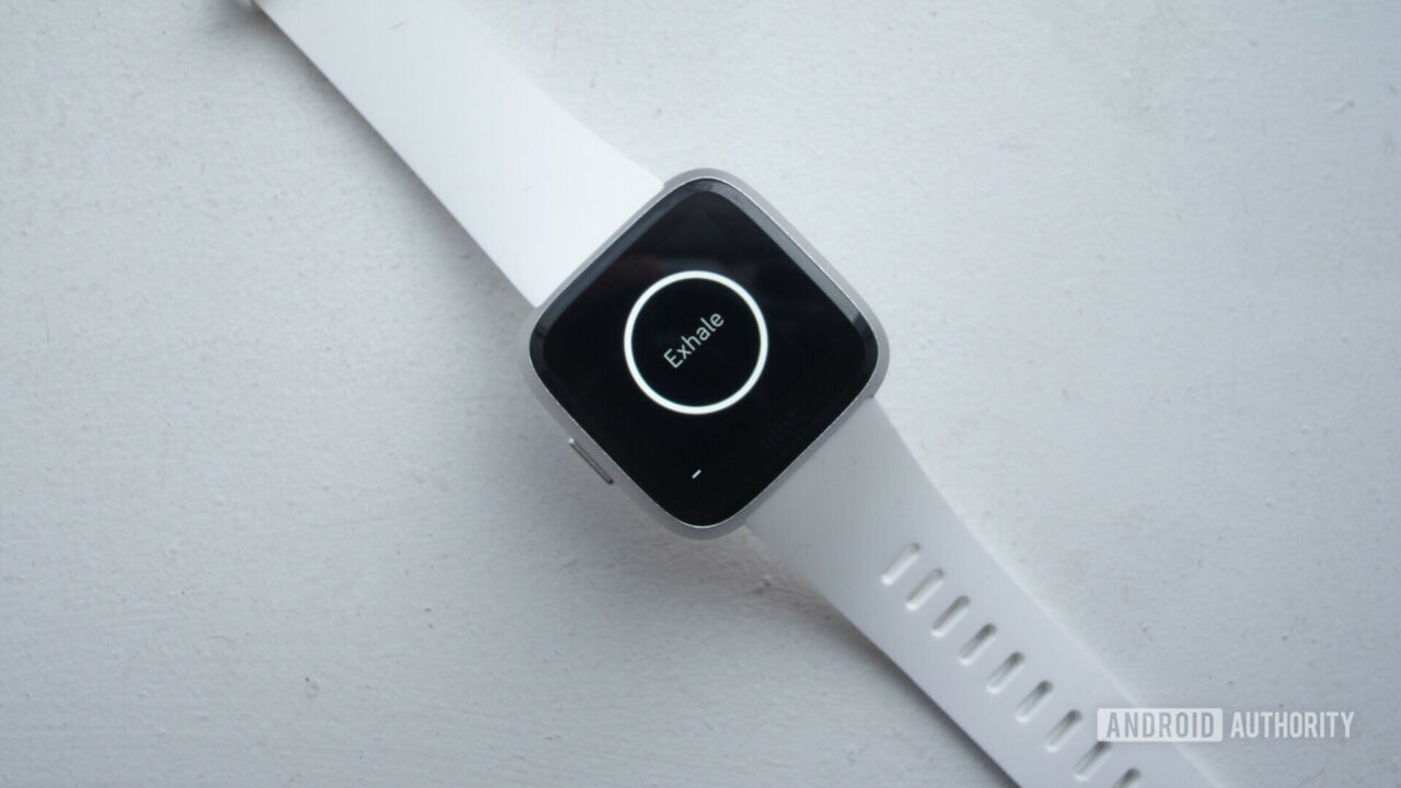 Fitbit Versa Lite review: One of the best cheap smartwatches