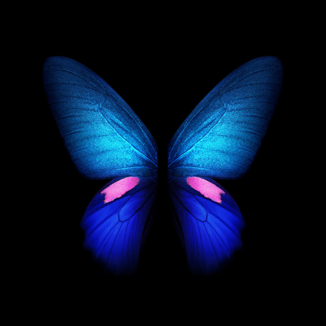 Download Samsung Galaxy Fold wallpapers in full resolution right here