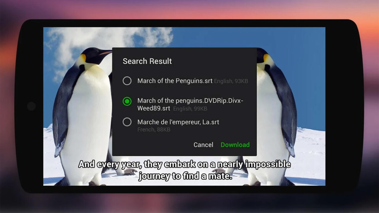 Best uk streaming services: Where to stream movies and TV