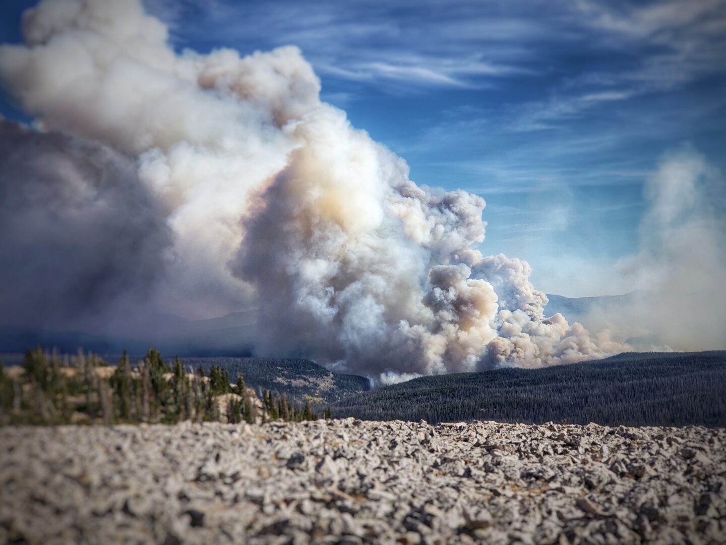 Shot on Snapdragon 2 semifinalists: Cast your vote! - Android Authority