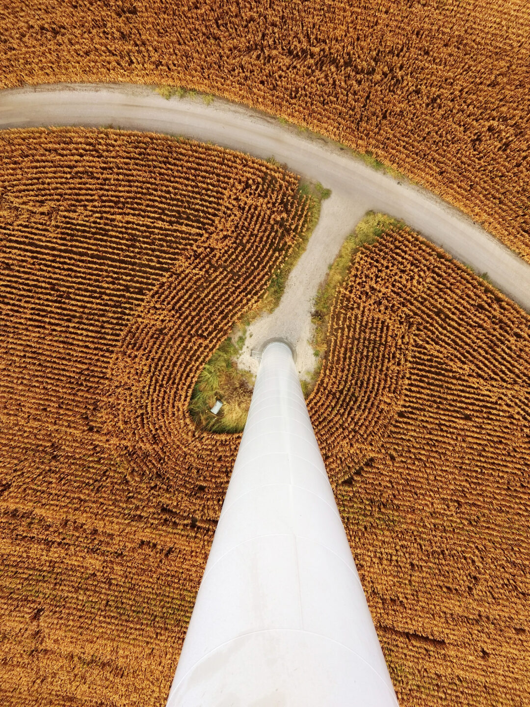 Shot on Snapdragon 2 semifinalists: Cast your vote! - Android Authority