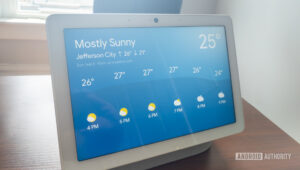 Google Nest Hub Max review: Not the cheapest smart display, but the best
