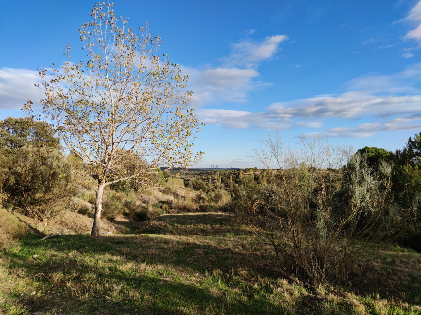 108MP camera samples: Here's what the first 108MP sensor can do!