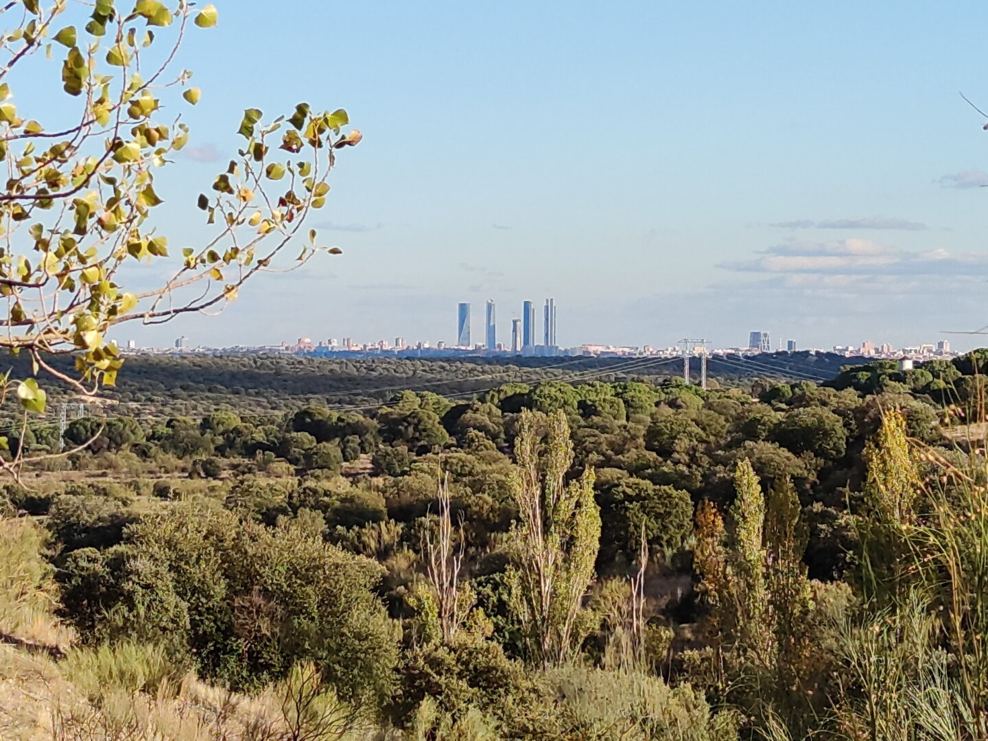 108MP camera samples: Here's what the first 108MP sensor can do!