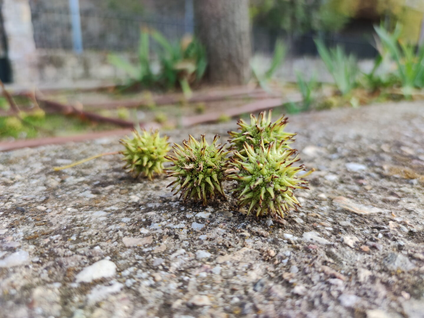 108MP camera samples: Here's what the first 108MP sensor can do!