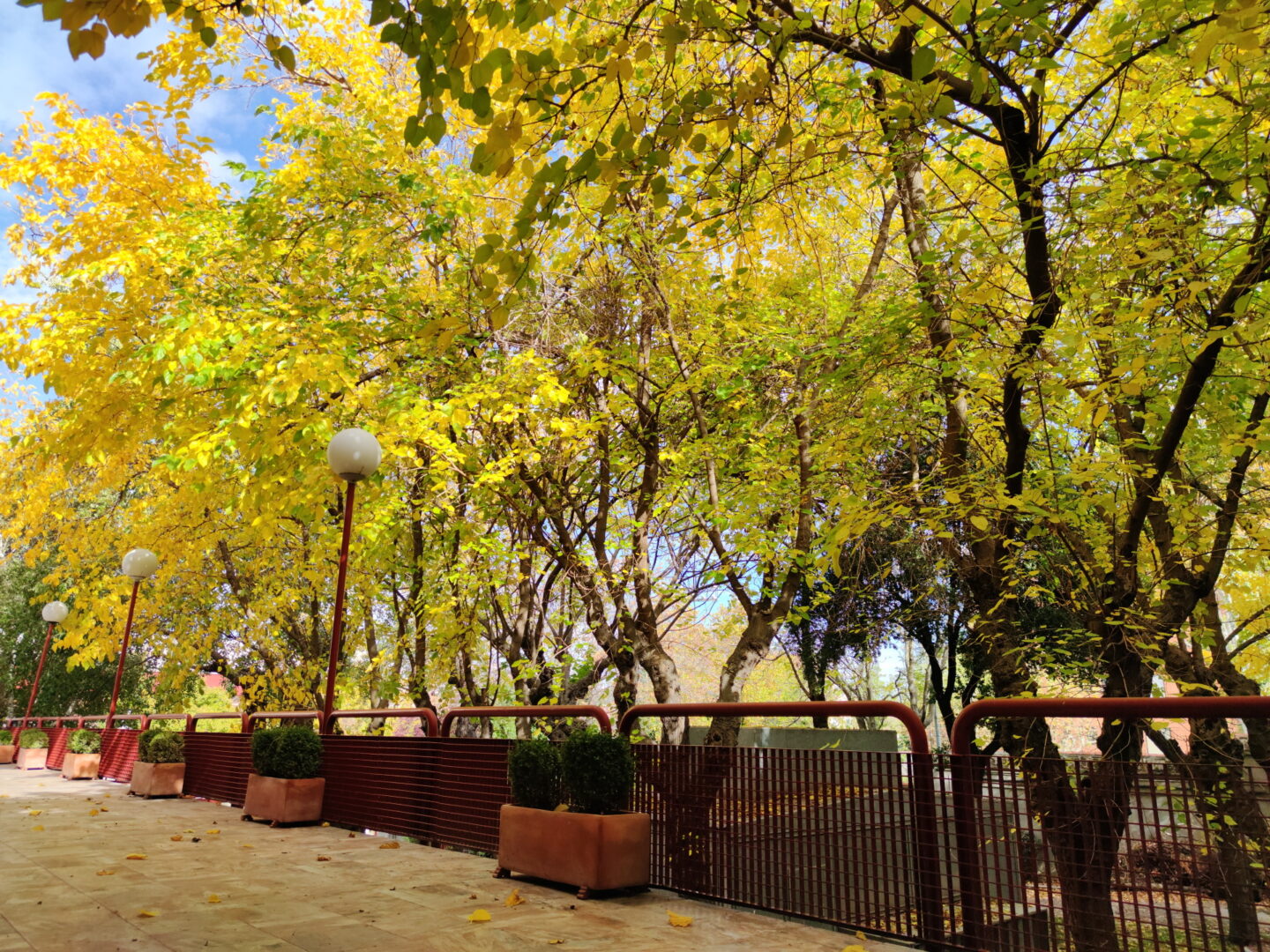 108MP camera samples: Here's what the first 108MP sensor can do!