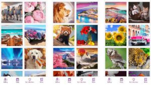 The best adult coloring book apps for Android - Android Authority