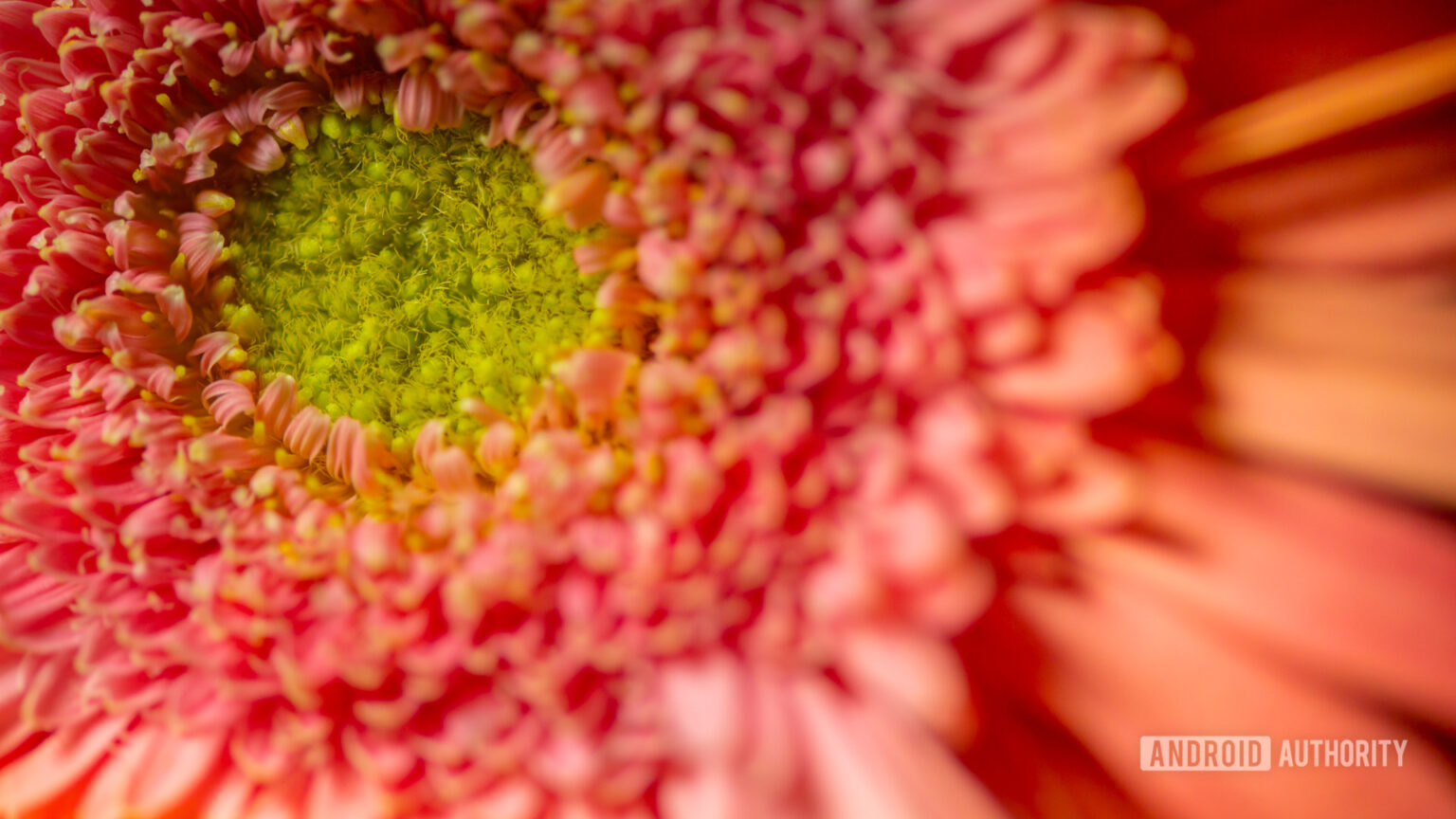 Quarantine photography tips: Staying creative during coronavirus