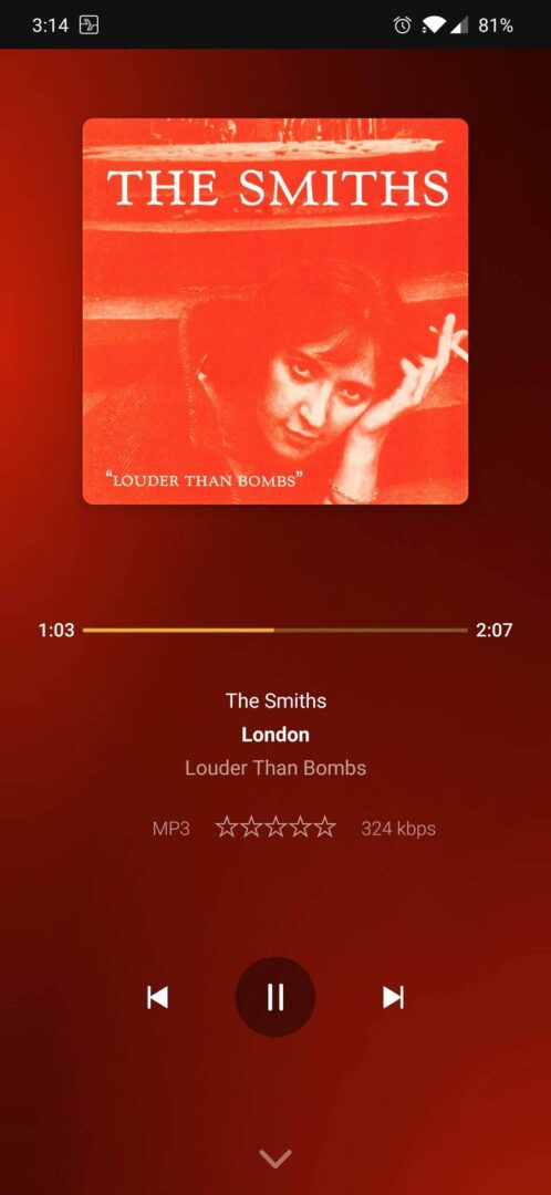 Plexamp is an awesome new music app from Plex - Android Authority