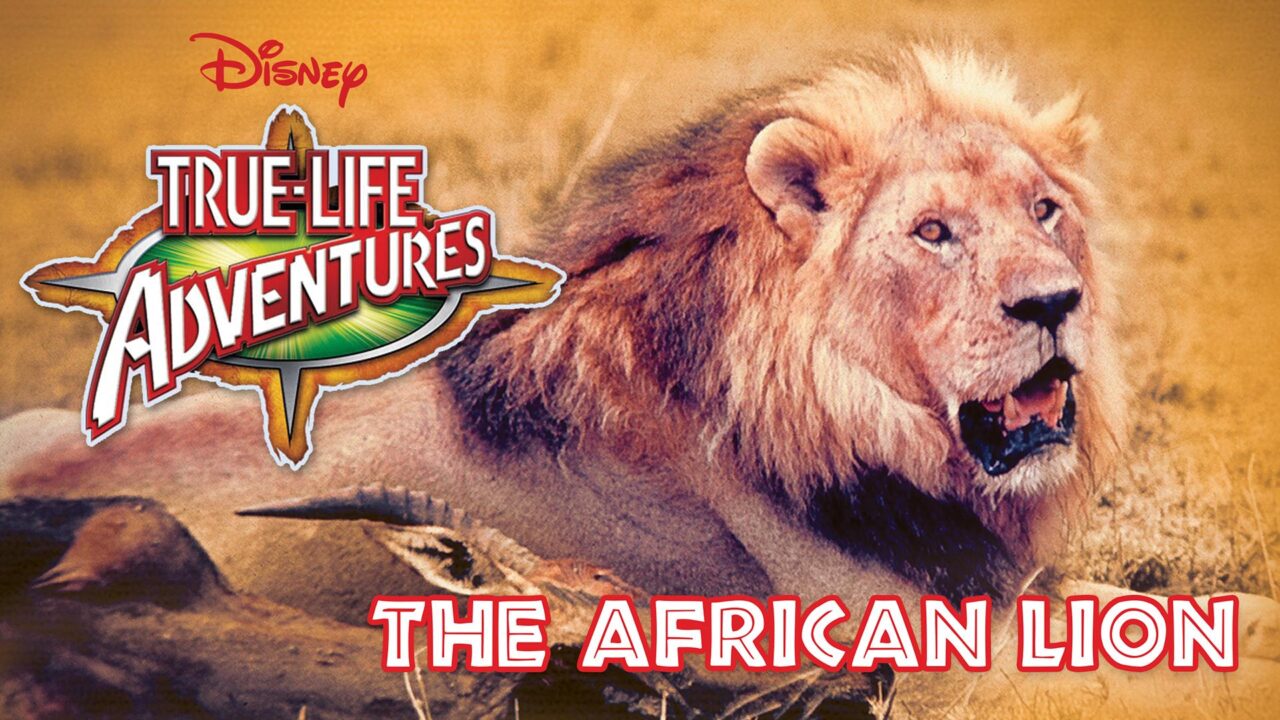 The best Disney Plus documentaries to watch while stuck at home ...