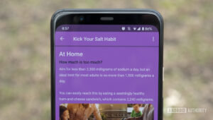 Fitbit Premium review: Is it worth the cost? - Android Authority