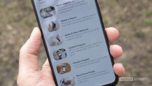 Fitbit Premium review: Is it worth the cost? - Android Authority