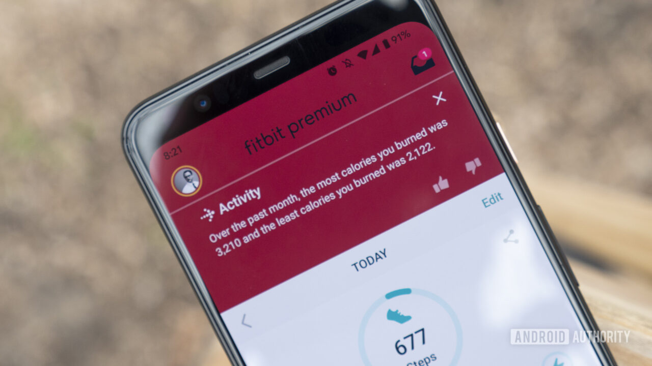 Fitbit Premium review: Is it worth the cost? - Android Authority