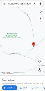 How to drop a pin on Google Maps - Android Authority