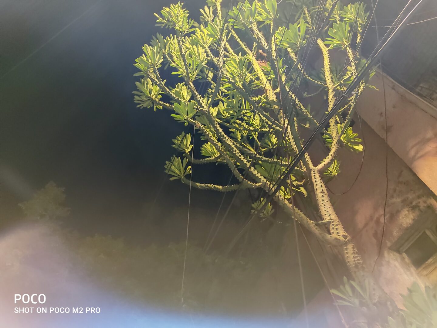 POCO M2 Pro review: A better Redmi Note 9 Pro - Android Authority