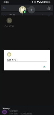 Android 11 Easter egg: What it does and how to see it - Android Authority