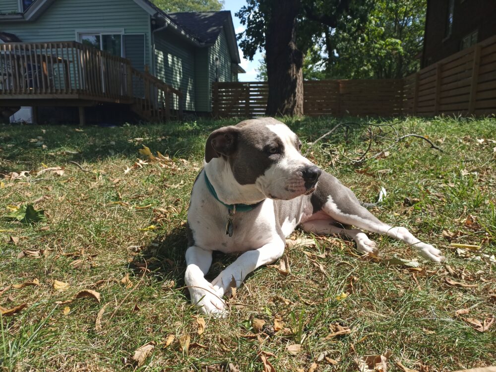 BLU G90 Pro review: Gaming on a budget - Android Authority